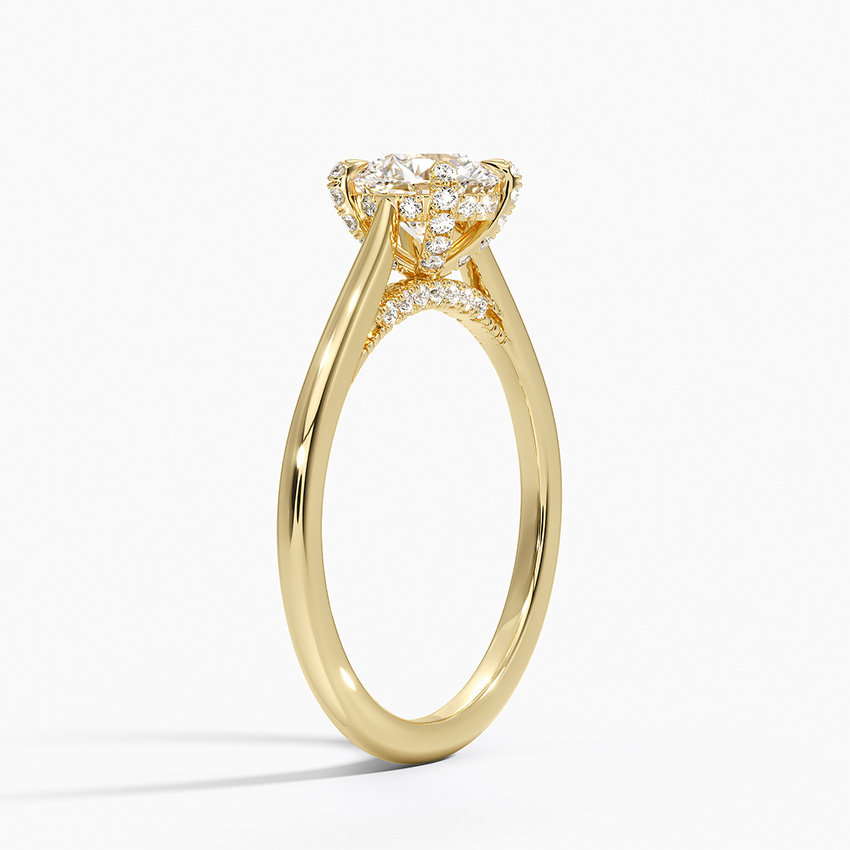 18K Yellow Gold Adorned Dawn Diamond Ring