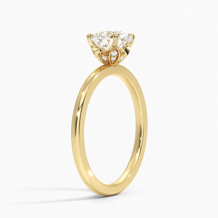 Shop Gold Solitaire Engagement Rings - Brilliant Earth