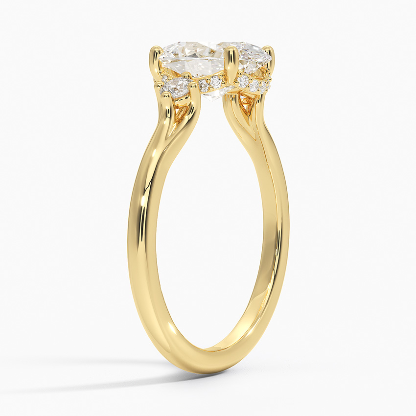 Floating Three Stone Diamond Ring - Brilliant Earth