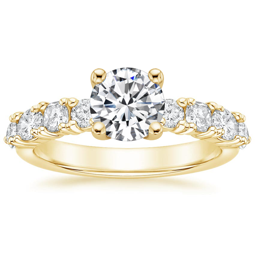 Montage Diamond Ring - Brilliant Earth