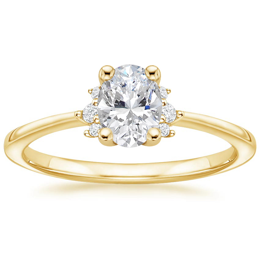 Colleen Hidden Halo Diamond Ring - Brilliant Earth